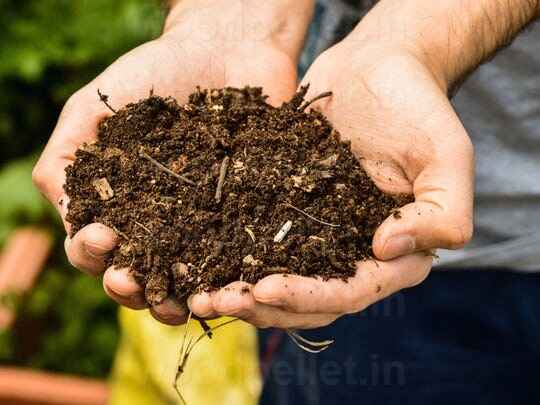 COMPOST Pellet Production Plants MSWC - MSOF - COMPOST - MANURE ...